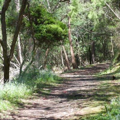 Taroona Community Association